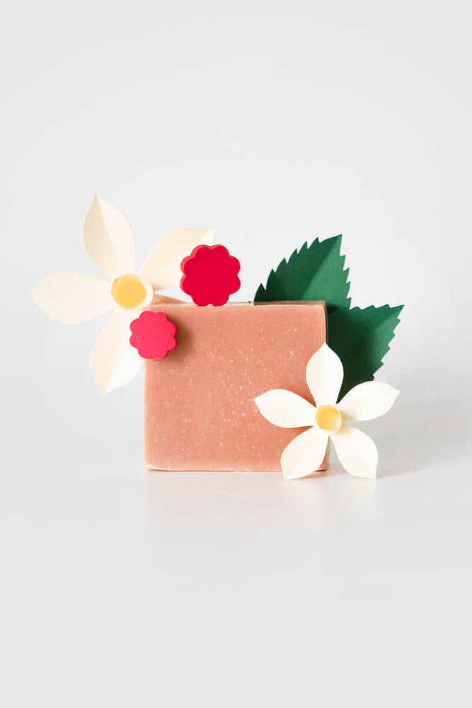 Flambette | Shea Butter & Dried Herb Bar Soap – Jennifer Glasgow ...
